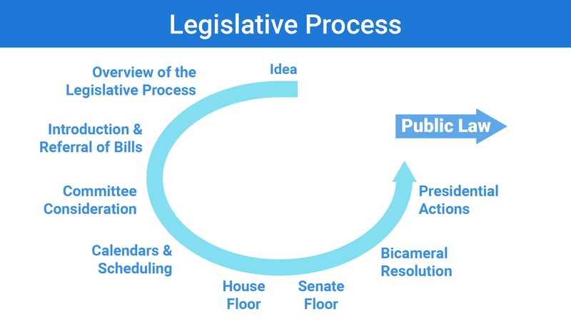 Rehabilitation Nursing and the Legislative Framework - Michelle Camicia ...